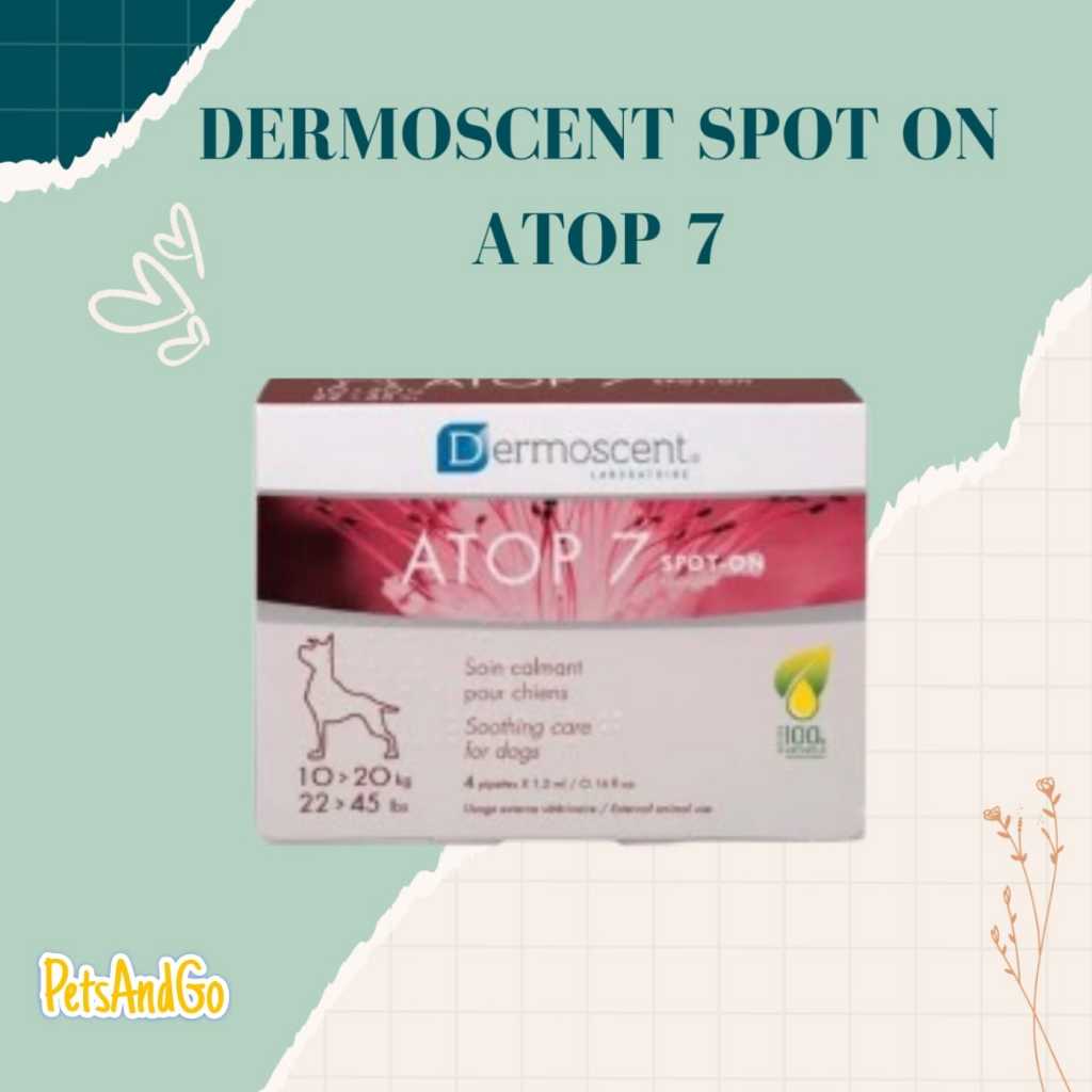 Jual Dermoscent ATOP7 spot-on for dogs 4 pippet (1 box) | Shopee Indonesia