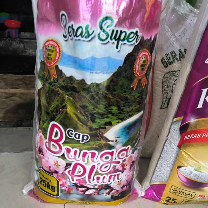 Jual Beras Bunga Plum 25 Kg - Bagus (Khusus Instant) | Shopee Indonesia