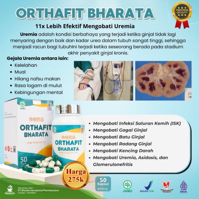 Jual Obat Infeksi Saluran Kemih Kencing (ISK) - Obat Gagal Ginjal - Obat Kencing Batu - Orthafit ...