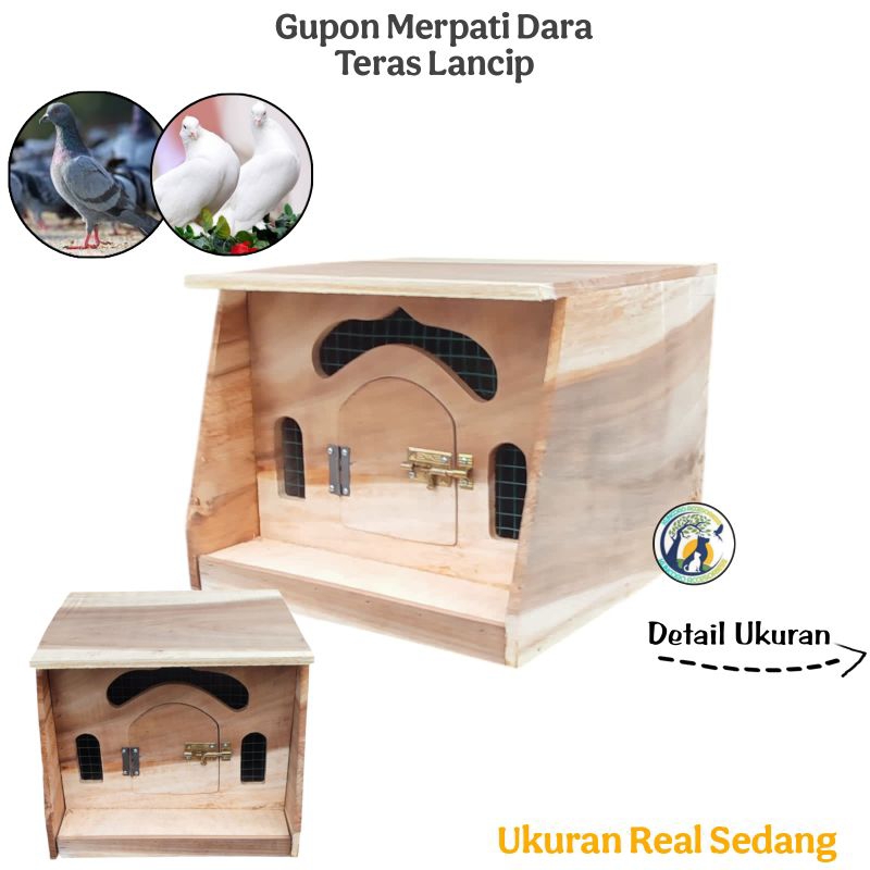 Jual Kandang Pagupon Merpati Dara Teras Lancip Sedang | Shopee Indonesia
