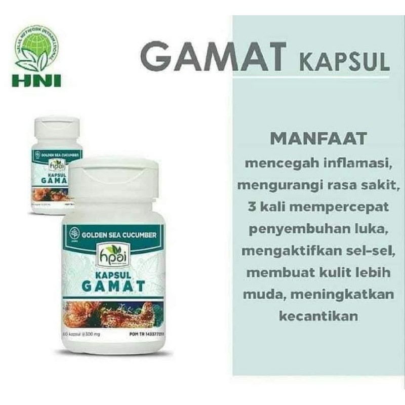 Jual GAMAT KAPSUL Ekstrak Teripang Emas Untuk Nyeri Sendi - HNI BPOM ...