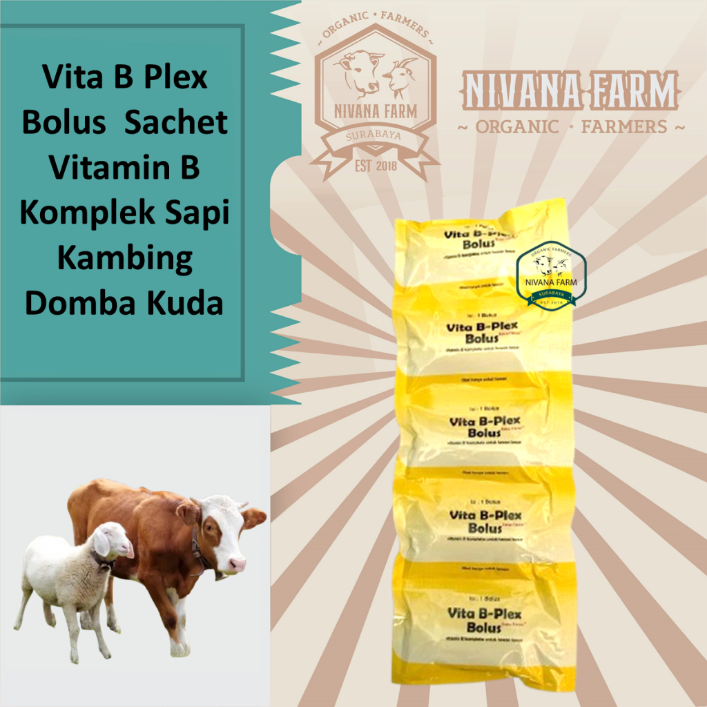 Jual Vita B Plex Bolus Sachet Vitamin B Komplek Sapi Kambing Domba Kuda ...