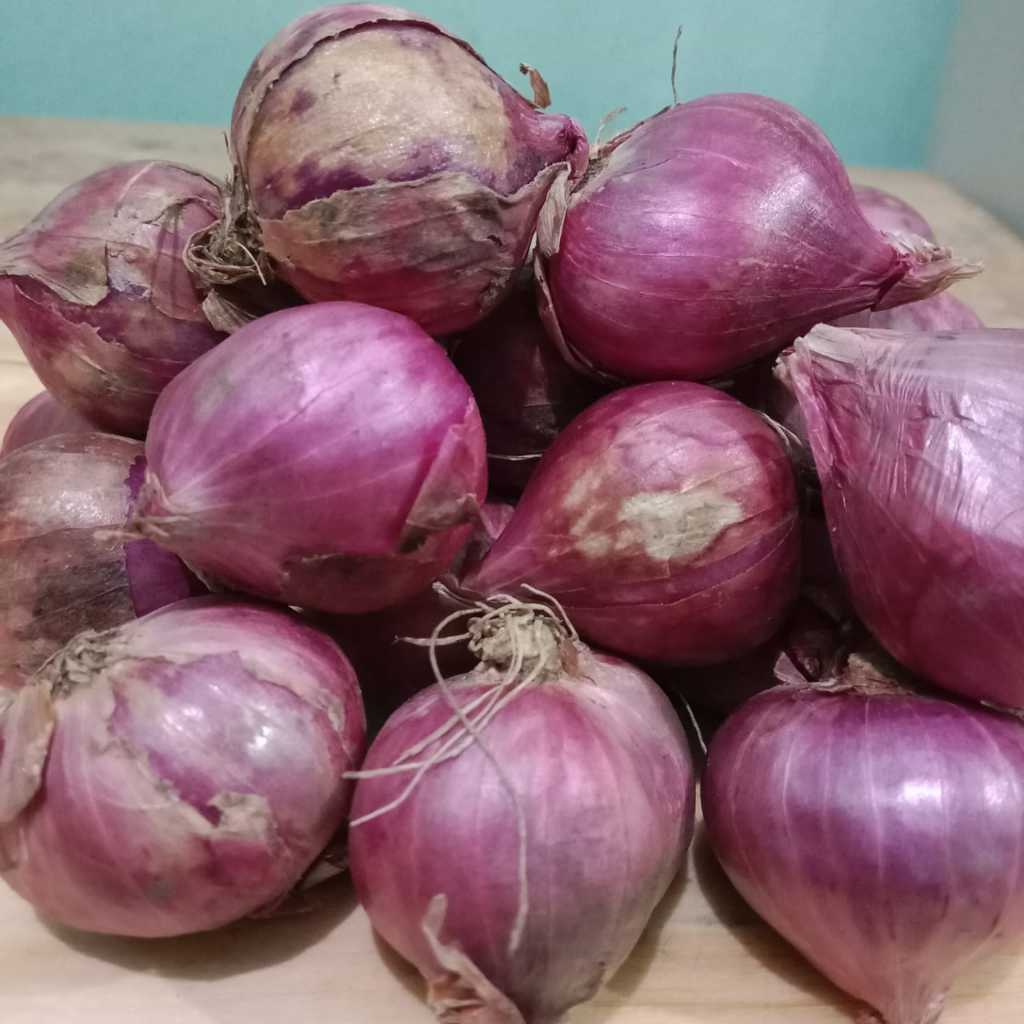 Jual Bawang merah super besar 500gram | Shopee Indonesia