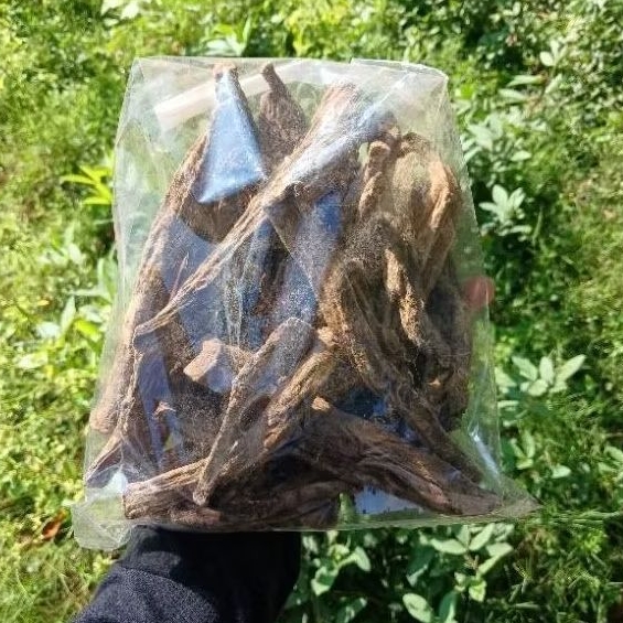 Jual Klembak / Akar Klembak / Klembak Menyan / Klembak Kering / Akar ...