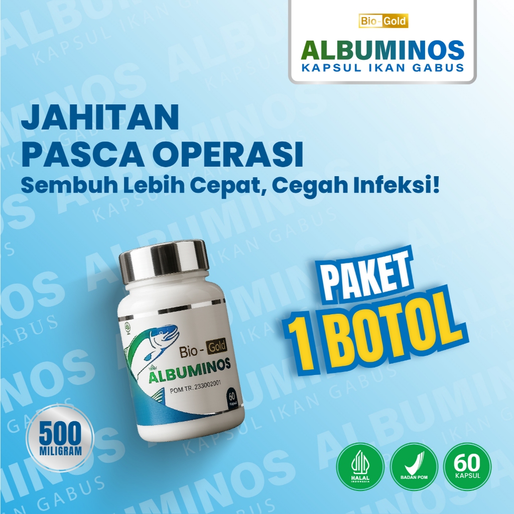 Jual ALBUMINOS Kapsul Ekstrak Ikan Gabus Kutuk Channa Striata Bantu Luka Paca Operasi | Shopee ...