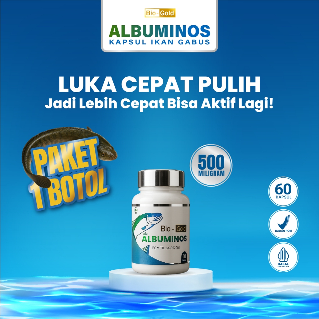 Jual ALBUMINOS - Kapsul Ikan Gabus Kutuk Isi 60 500 mg Untuk Luka Pasca ...