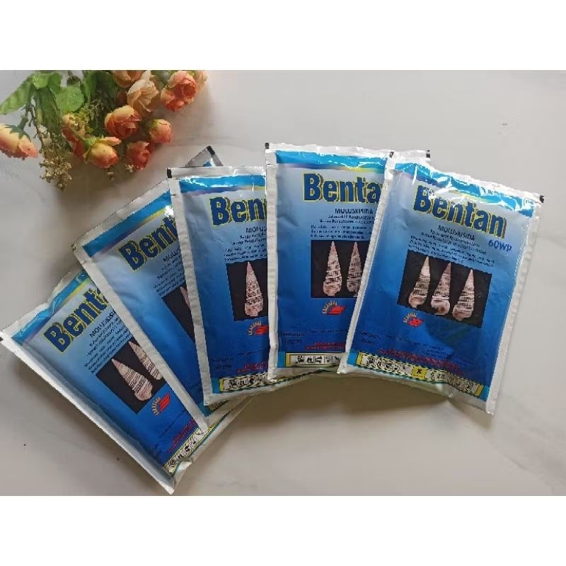 Jual BENTAN 60 WP 100 GRAM | Shopee Indonesia