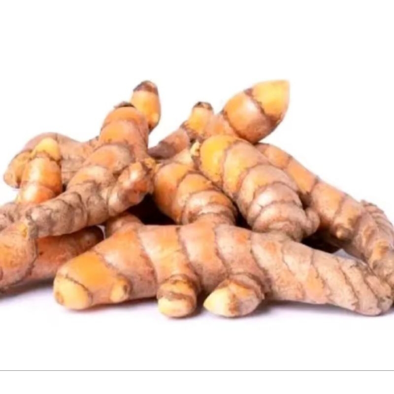 Jual kunyit kuning-laja lengkuas-sufer fresh 1kg | Shopee Indonesia