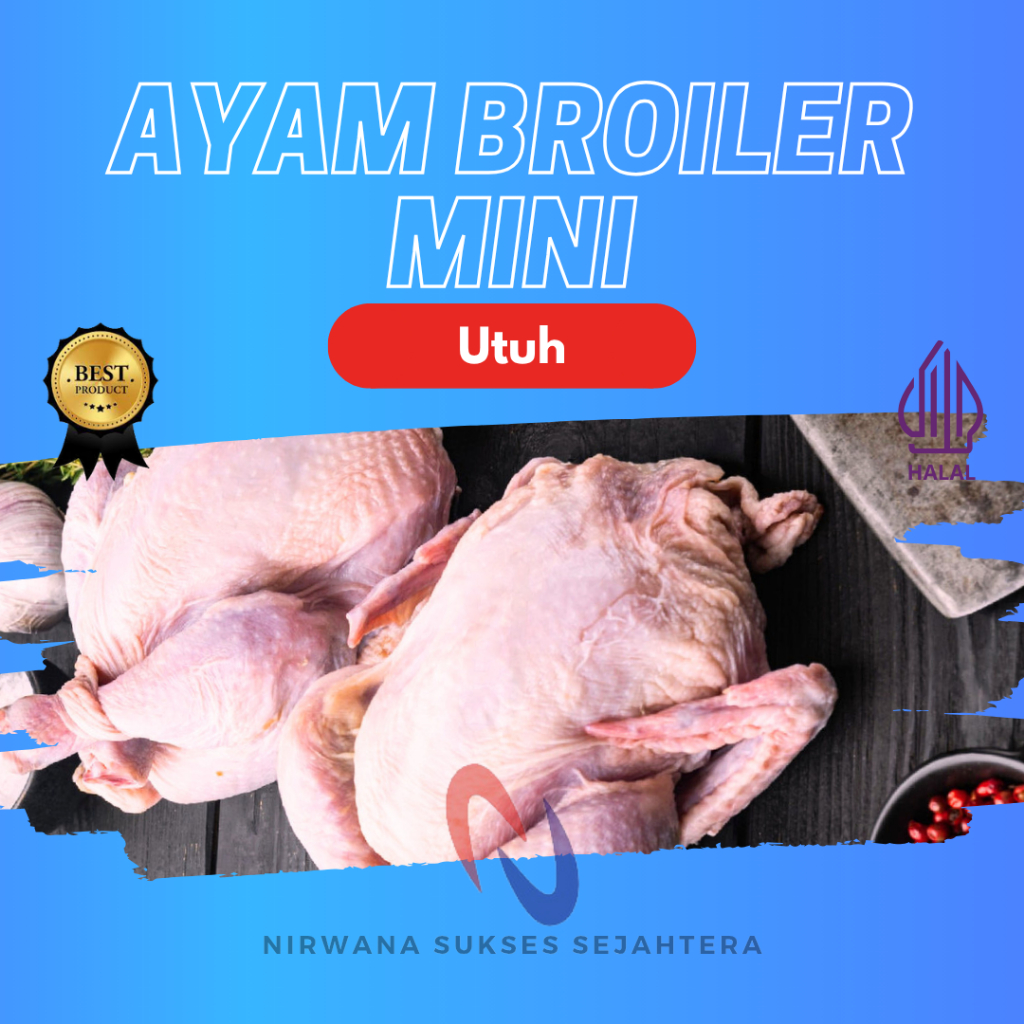 Jual AYAM MINI, AYAM TG, AYAM NEGERI UTUH / WHOLE MINI BROILER CHICKEN ...