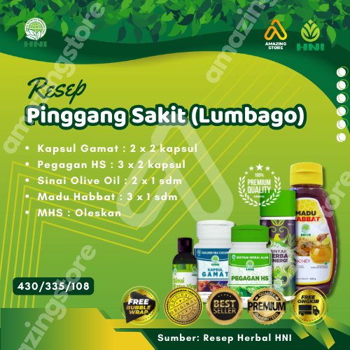 Jual Resep Herbal HNI HPAI || Paket MHS Solusi Untuk Pinggang Sakit ...