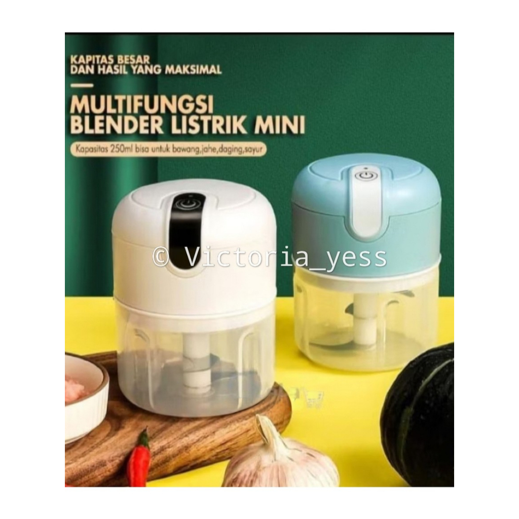Jual Mini Chopper Elektrik KYLO Alat Giling Daging/Bumbu Cepat Praktis ...