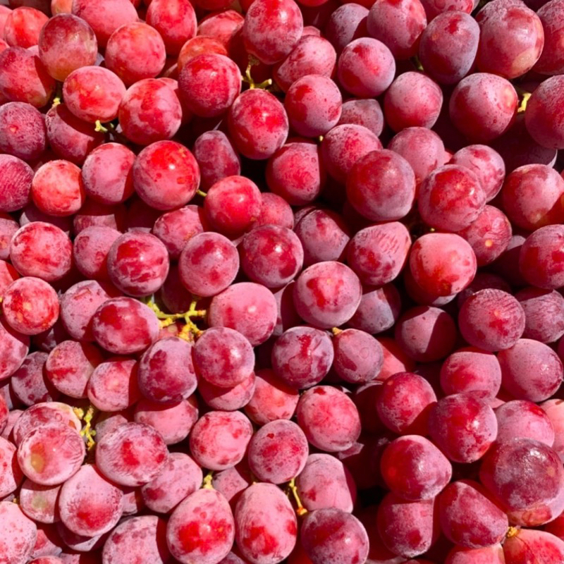 Jual PROMO Anggur Merah Import 500gr | Shopee Indonesia