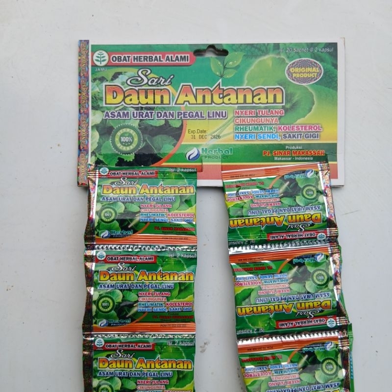 Jual Sari Daun Antanan Kapsul original Untuk Asam Urat dan Pegalinu ...