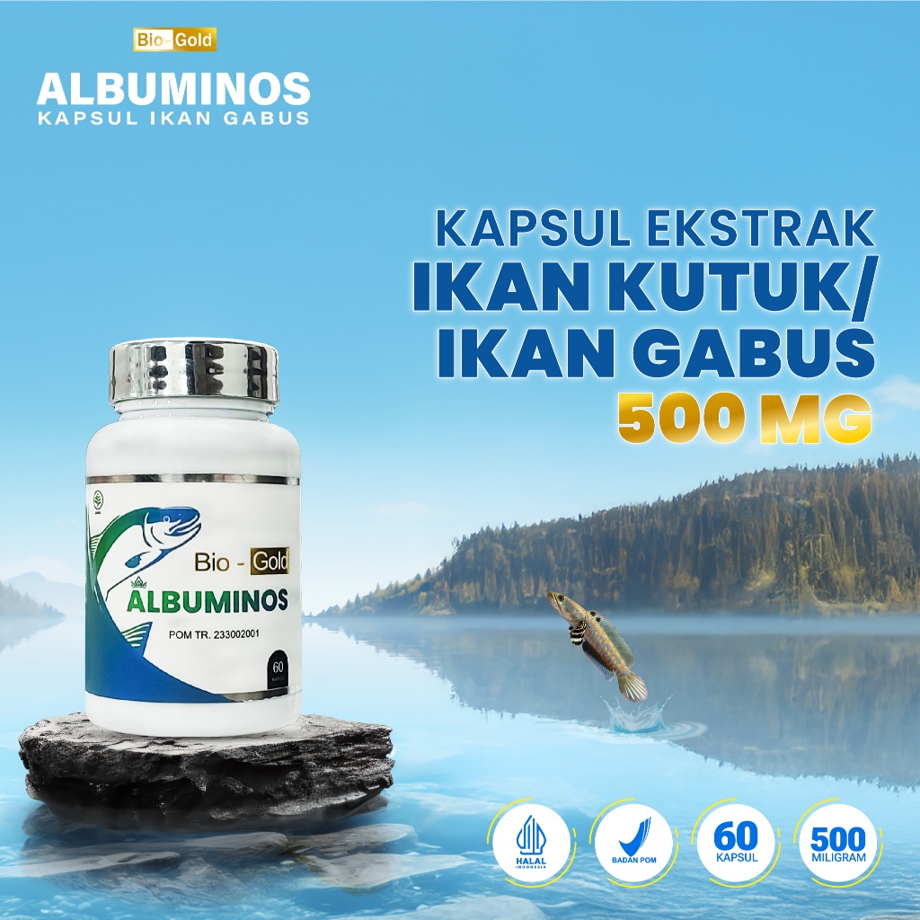 Jual Albuminos Kapsul Ekstrak Ikan Gabus Kutuk 500mg Obat Untuk Penyembuhan Luka Operasi Patah ...