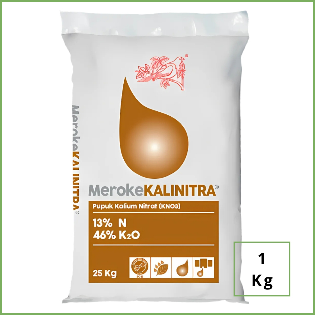 Jual Pupuk Tanaman KNO3 / Pottasium Nitrate / Kalium Nitrat 1KG Meroke ...