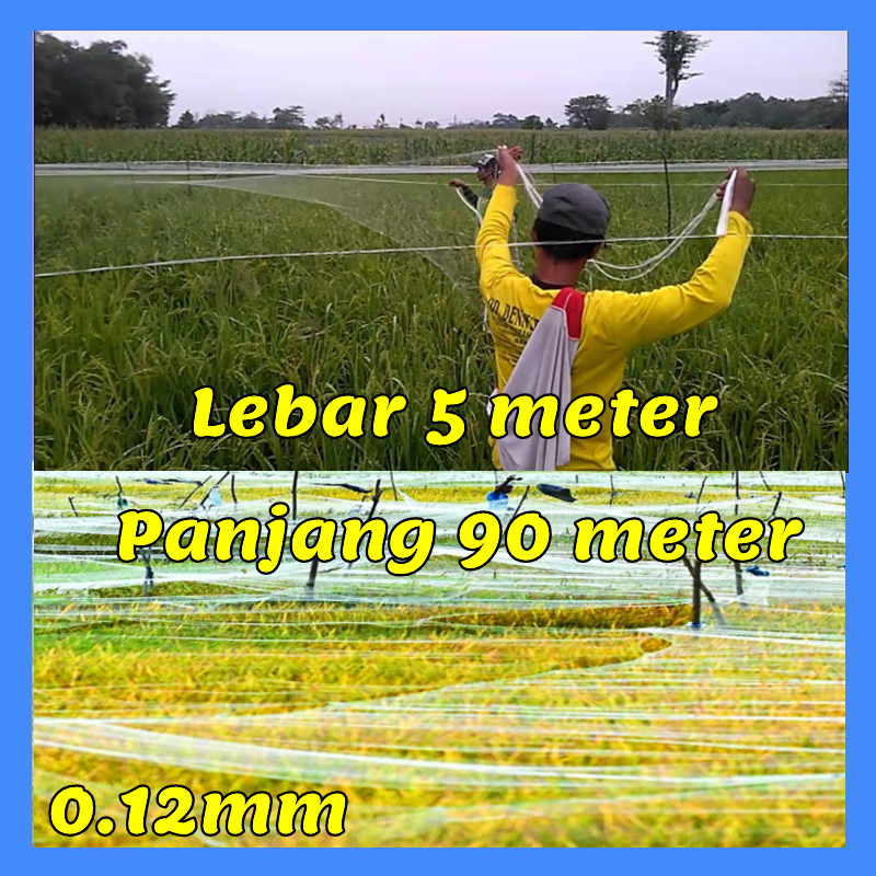 Jual Jaring burung, jaring padi, jaring emprit, jaring sawah bonus tali ...