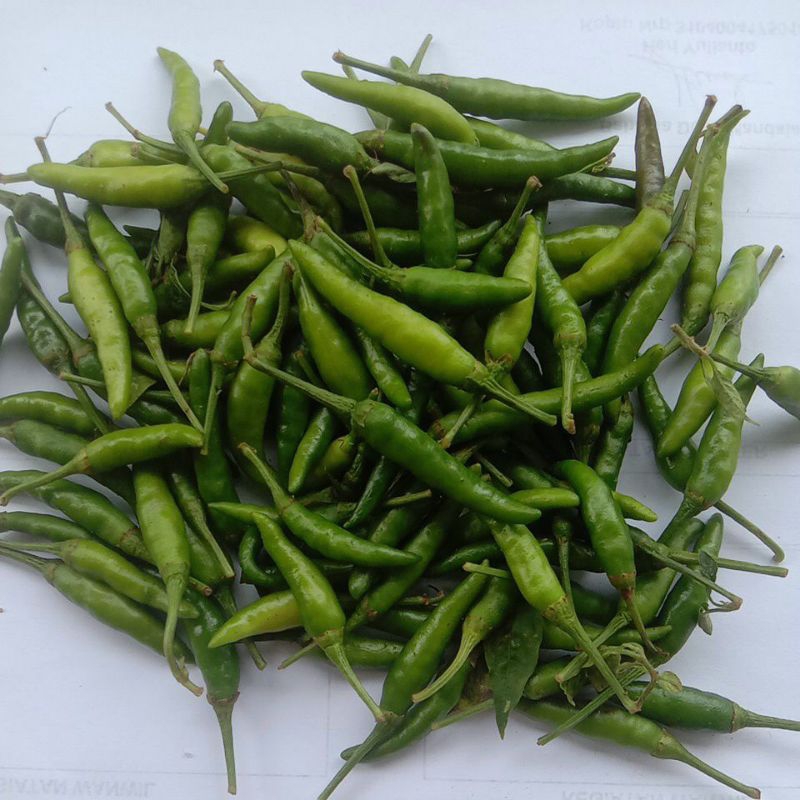 Jual cabe cabai rawit hijau ijo fresh segar 1 kg | Shopee Indonesia