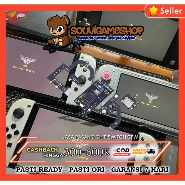 Jual Jasa Pasang IC CFW Chip Pico Fly IC Nintendo Switch V1 V2 Lite Oled | Shopee Indonesia