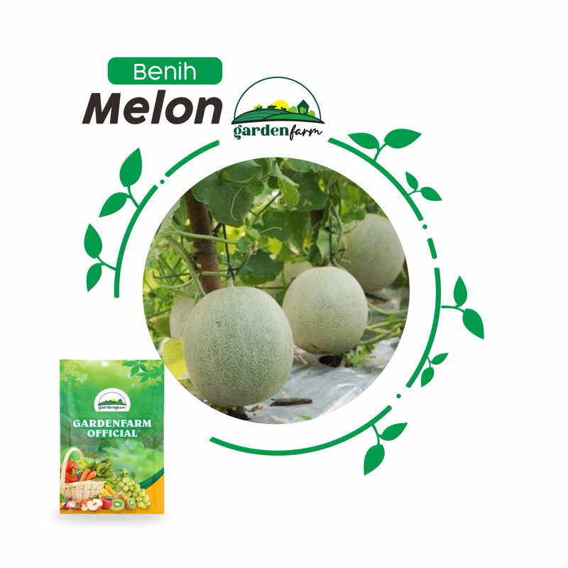 Jual GARDENFARM - BENIH MELON INTHANON RZ ±100 BIJI - BIBIT BUAH UNGGUL ...