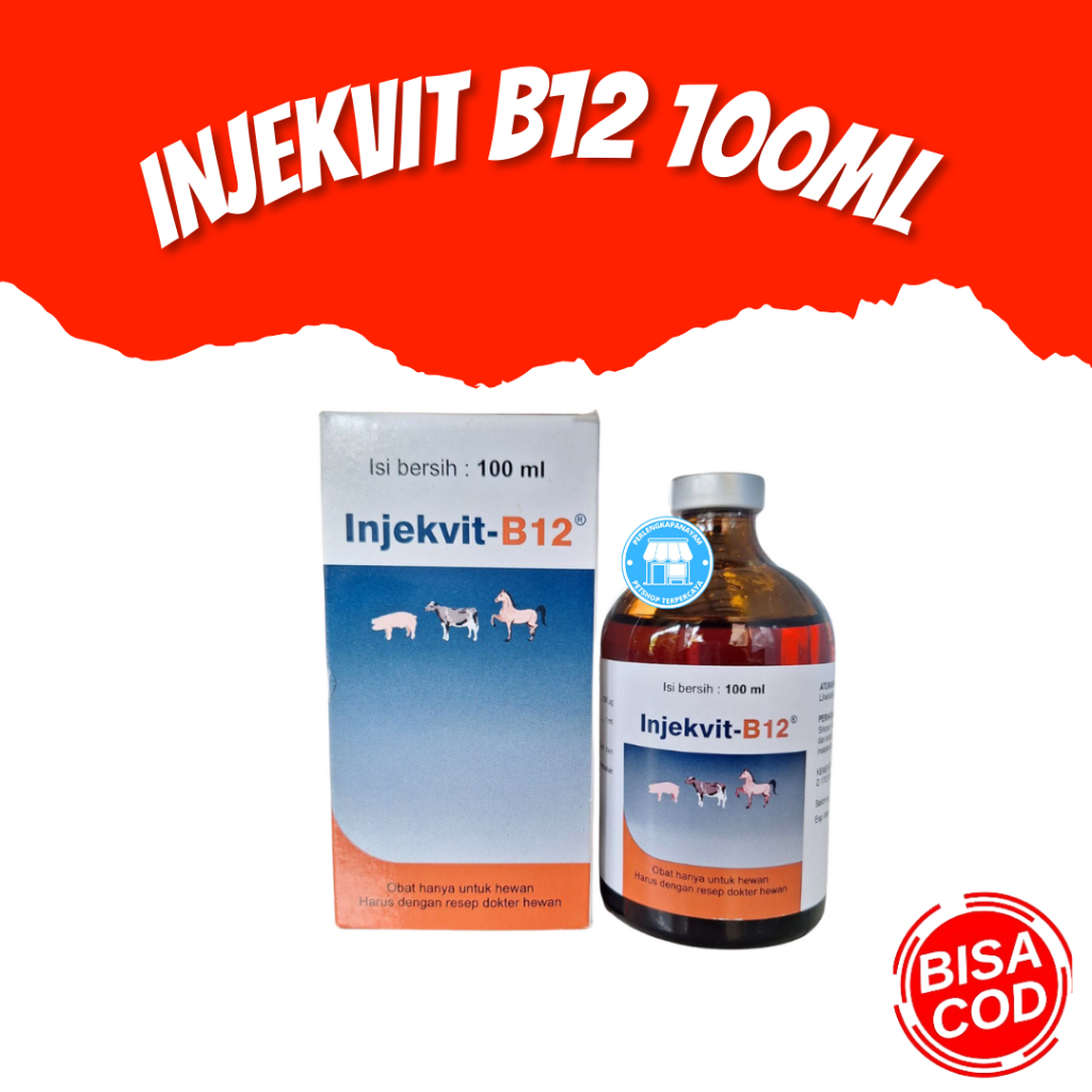 Jual INJEKVIT B12 100 ml MEDION Obat B12 Untuk Perbaiki Kondisi Tubuh ...