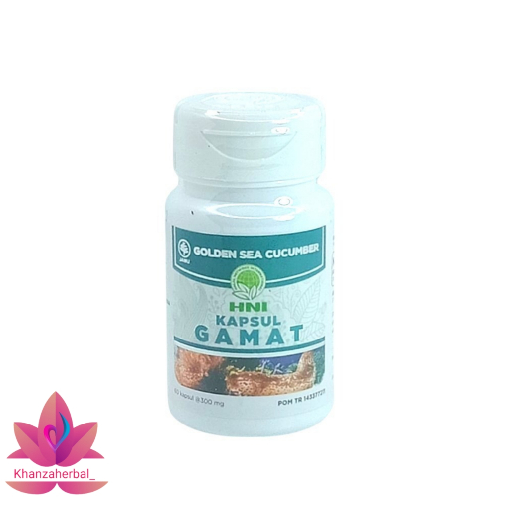 Jual Gamat HNI 60 Kapsul Original | Gamat Ekstra Tripang Emas Meredakan ...