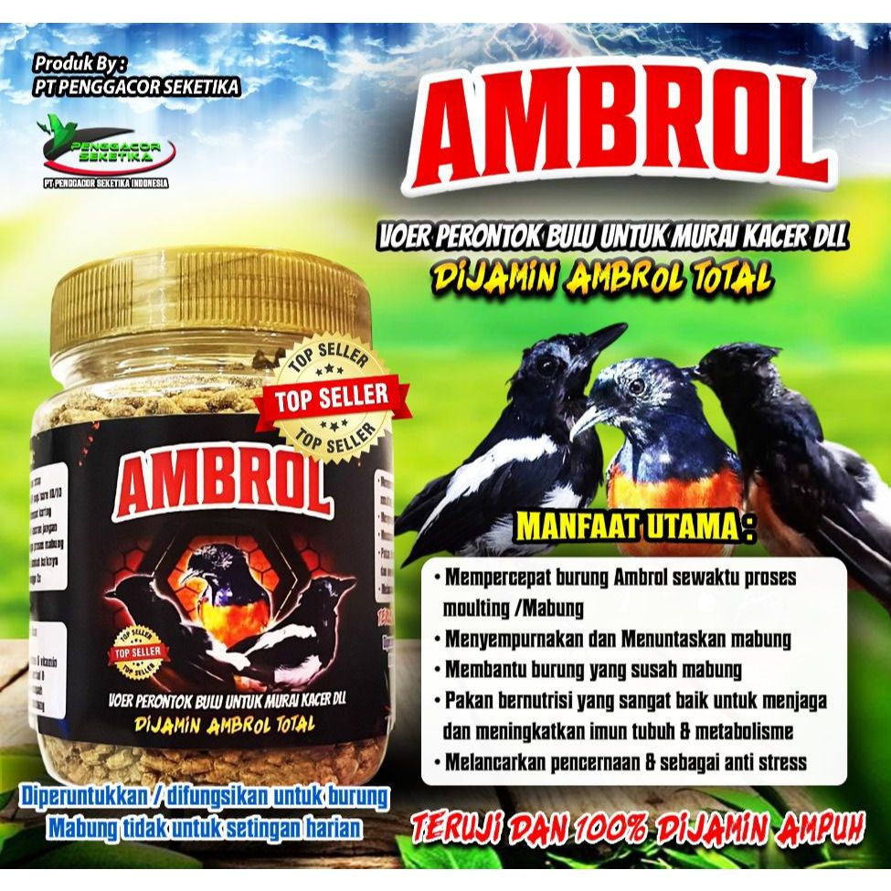Jual Ambrol Voer Perontok bulu burung dijamin ambrol | Shopee Indonesia