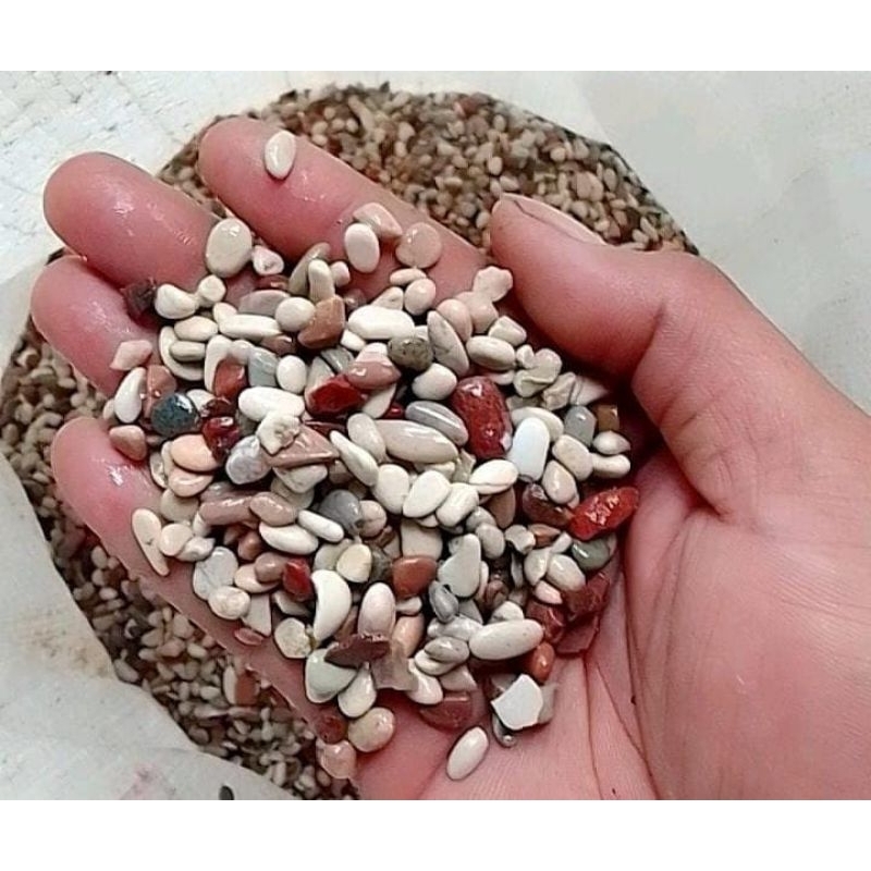 Jual 1kg batu pasir pancawarna/batu pancawarna/Batu asli alam/Batu aquarium | Shopee Indonesia