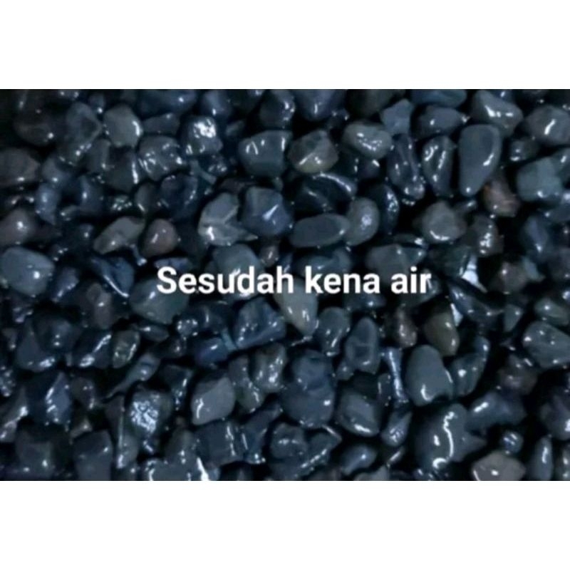 Jual (TERMURAH) Batu sungai koral hitam kemasan 250 gram / Batu sungai ...
