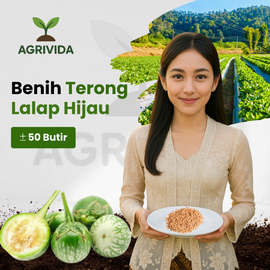 Jual Benih Terong Lalap Hijau 50 Butir Benih Tanaman sayuran berkualitas | Shopee Indonesia