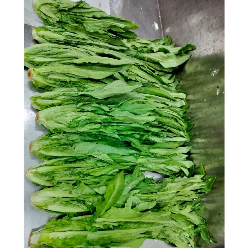 Jual Sayur Sweet Oat 1 Dus (4 KG) Fresh Import | Shopee Indonesia