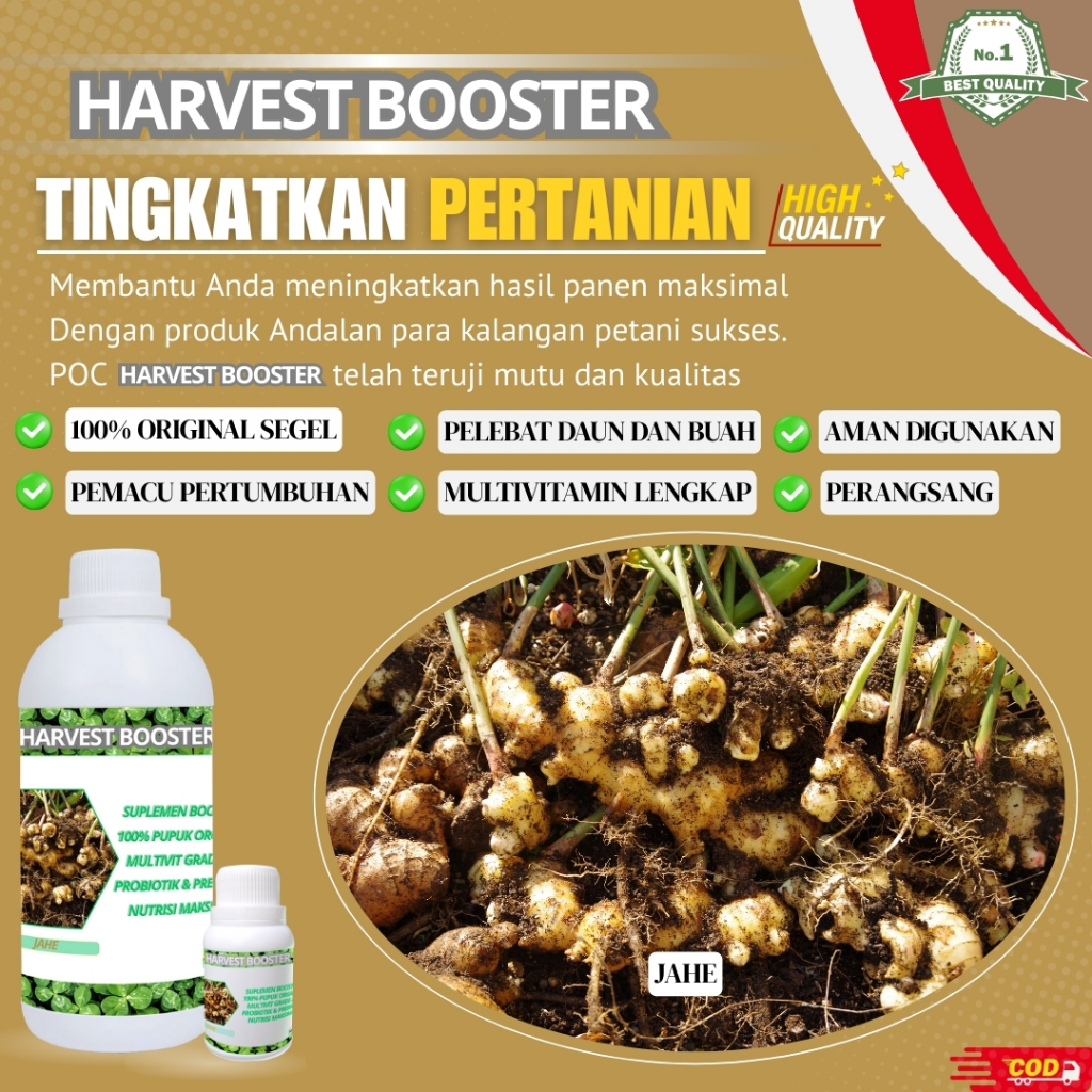 Jual PUPUK ORGANIK CAIR 100% untuk tanaman JAHE Pemacu Pertumbuhan Pelebat Daun Dan Buah ...