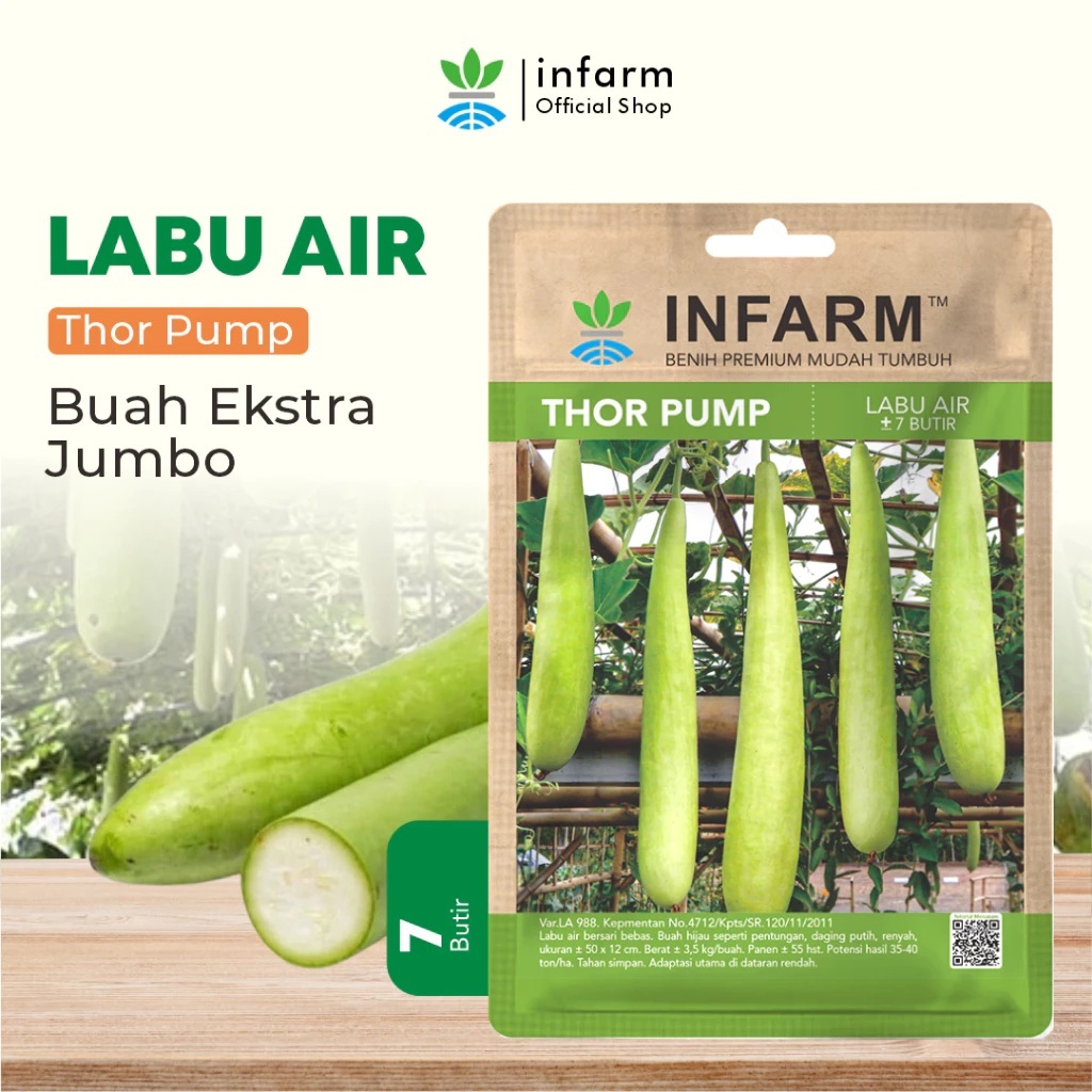 Jual Bibit Labu Air Super INFARM | Benih Sayur Unggul Cocok Untuk Kebun ...