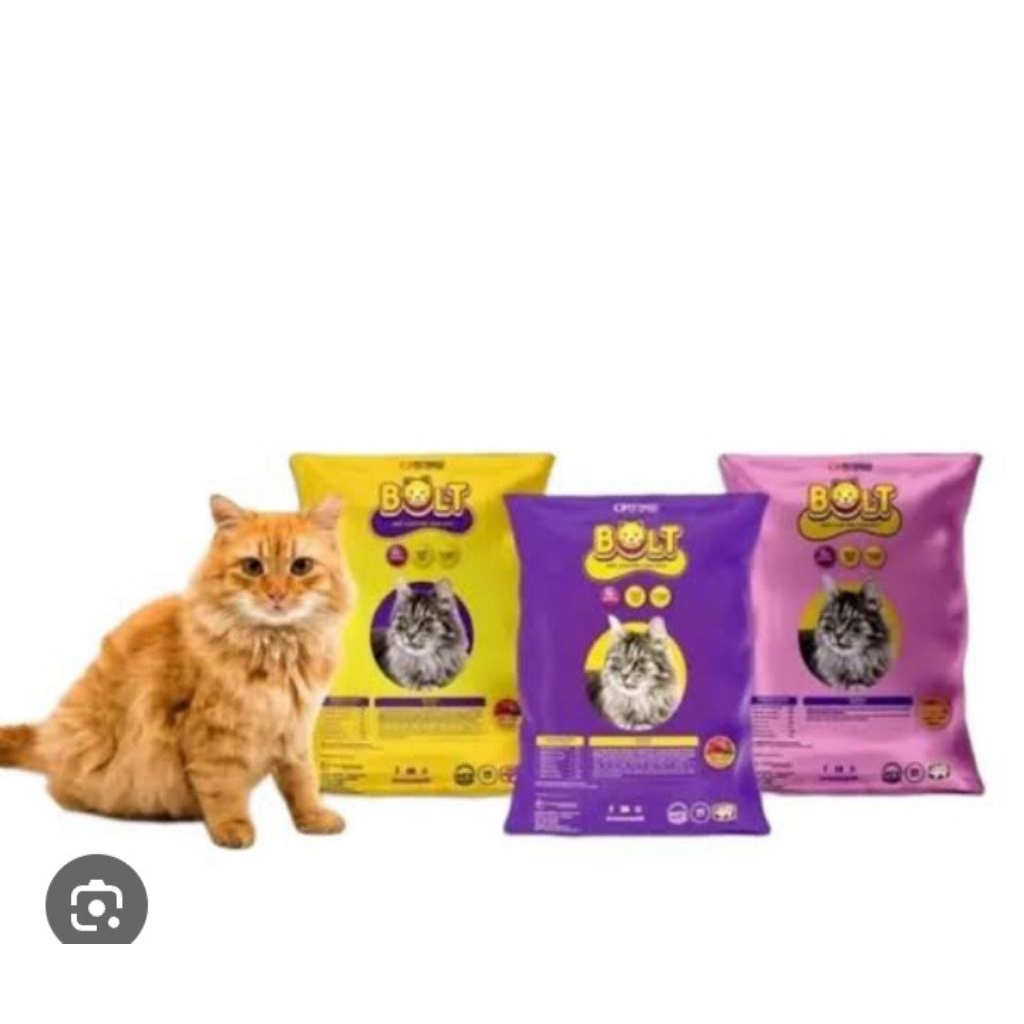 Jual BOLT Makanan kucing dewasa 800gr dan anak kucing 500gr | Shopee ...