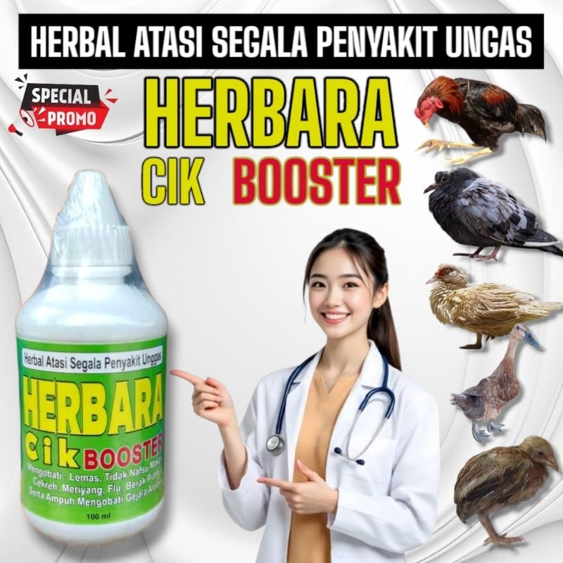 Jual HERBARACIK BOOSTER obat sakit ayam dan unggas, mengatasi segala ...
