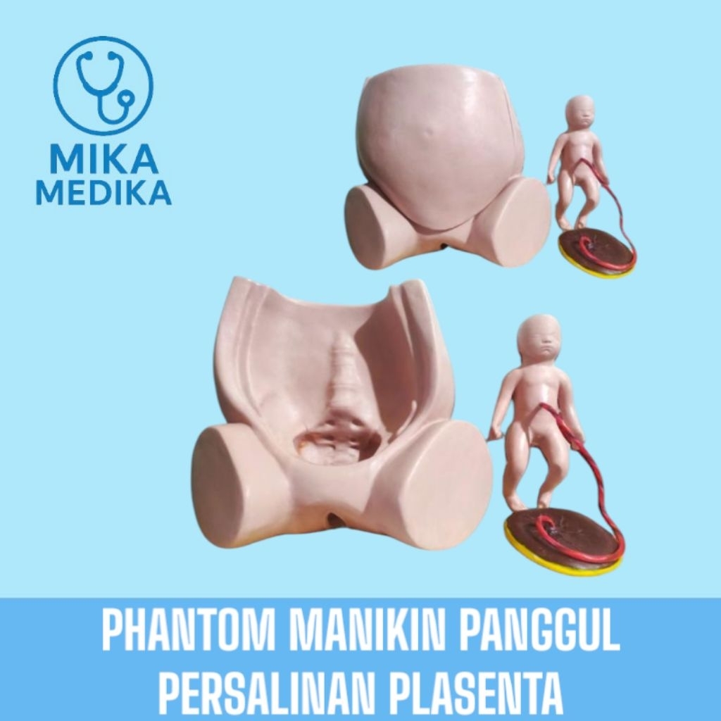 Jual Phantom manikin Panggul persalinan Plasenta / Manekin Panggul ...