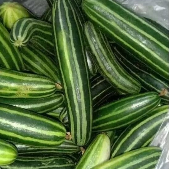 Jual BENIH/BIJI TIMUN SAFARI KRAI PANJANG (50 butir) | Shopee Indonesia