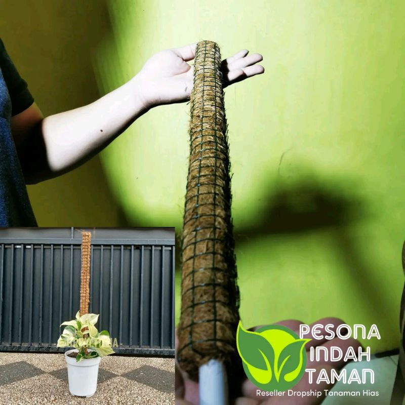 Jual Turus tanaman tiang penyangga tanaman 40cm | Shopee Indonesia