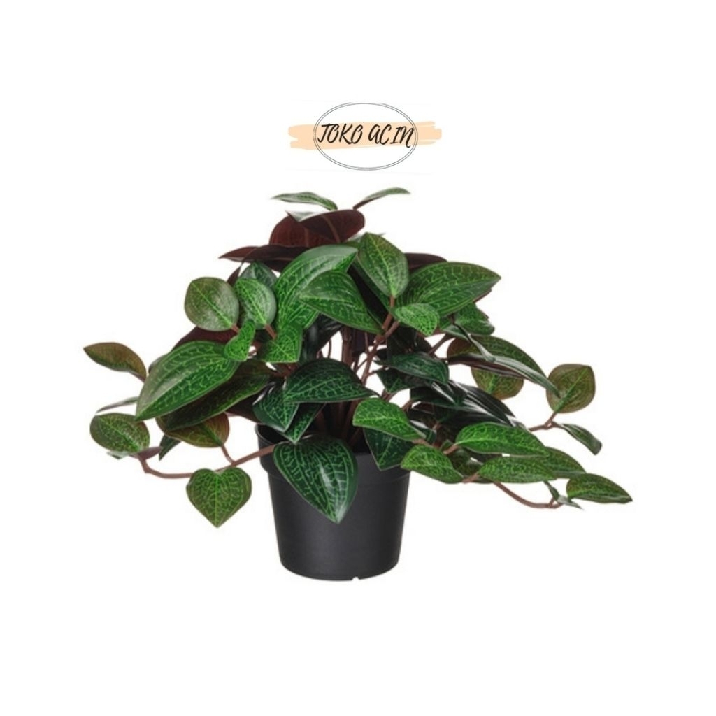 Jual Fejka tanaman tiruan dalam pot dalam/luar ruang anggrek permata ...