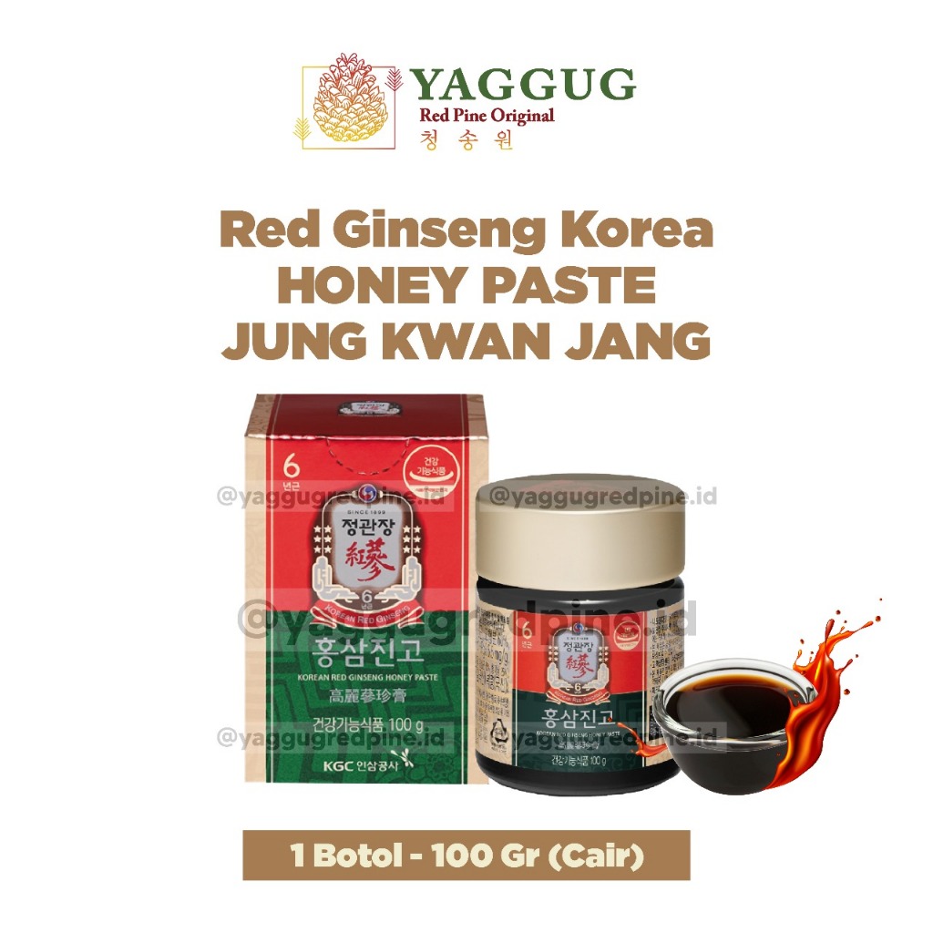 Jual Red Ginseng Korea Honey Paste Jung Kwan Jang 100 Gram (Cair ...