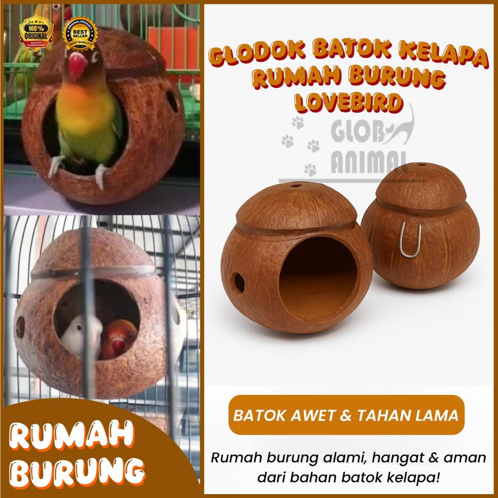 Jual GLODOK BATOK KELAPA rumah burung lovebird glodok burung kenari ...