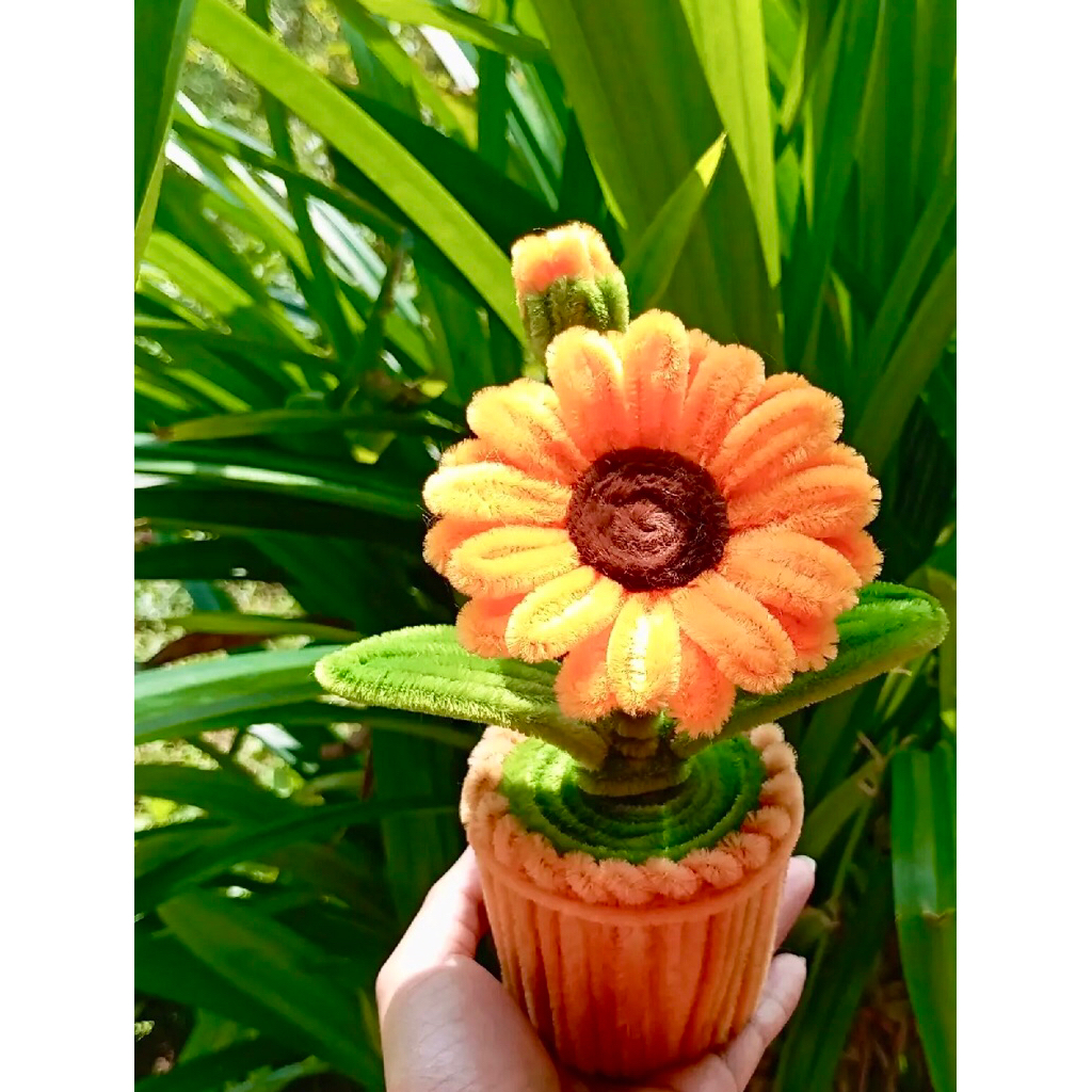 Jual Pot Bunga Kawat Bulu Pipe Cleaner Bunga Daisy | Bunga Matahari ...