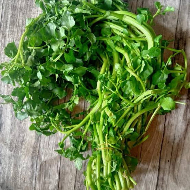 Jual SELADA AIR / JUKUT / GORENG REBUS ± 200 GR | Shopee Indonesia