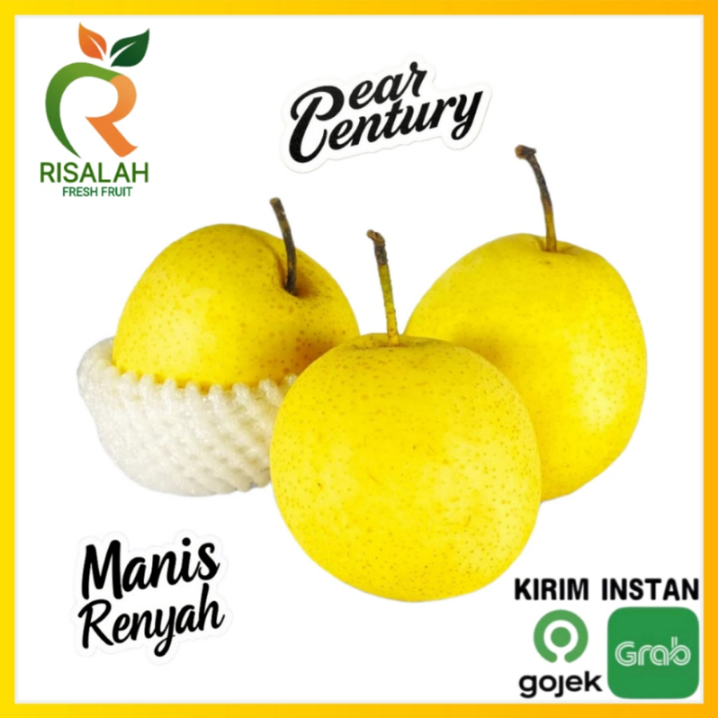 Jual PEAR CENTURY Buah Segar Grade A Kaya Vitamin C & Serat Manis ...