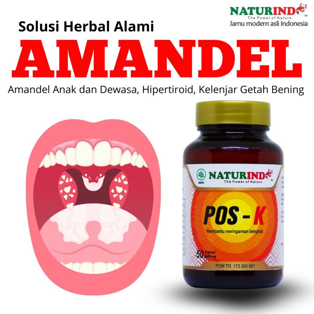 Jual Obat Amandel Bengkak Anak dan Dewasa Gondok Herbal Untuk Kelenjar POS-K Naturindo | Shopee ...