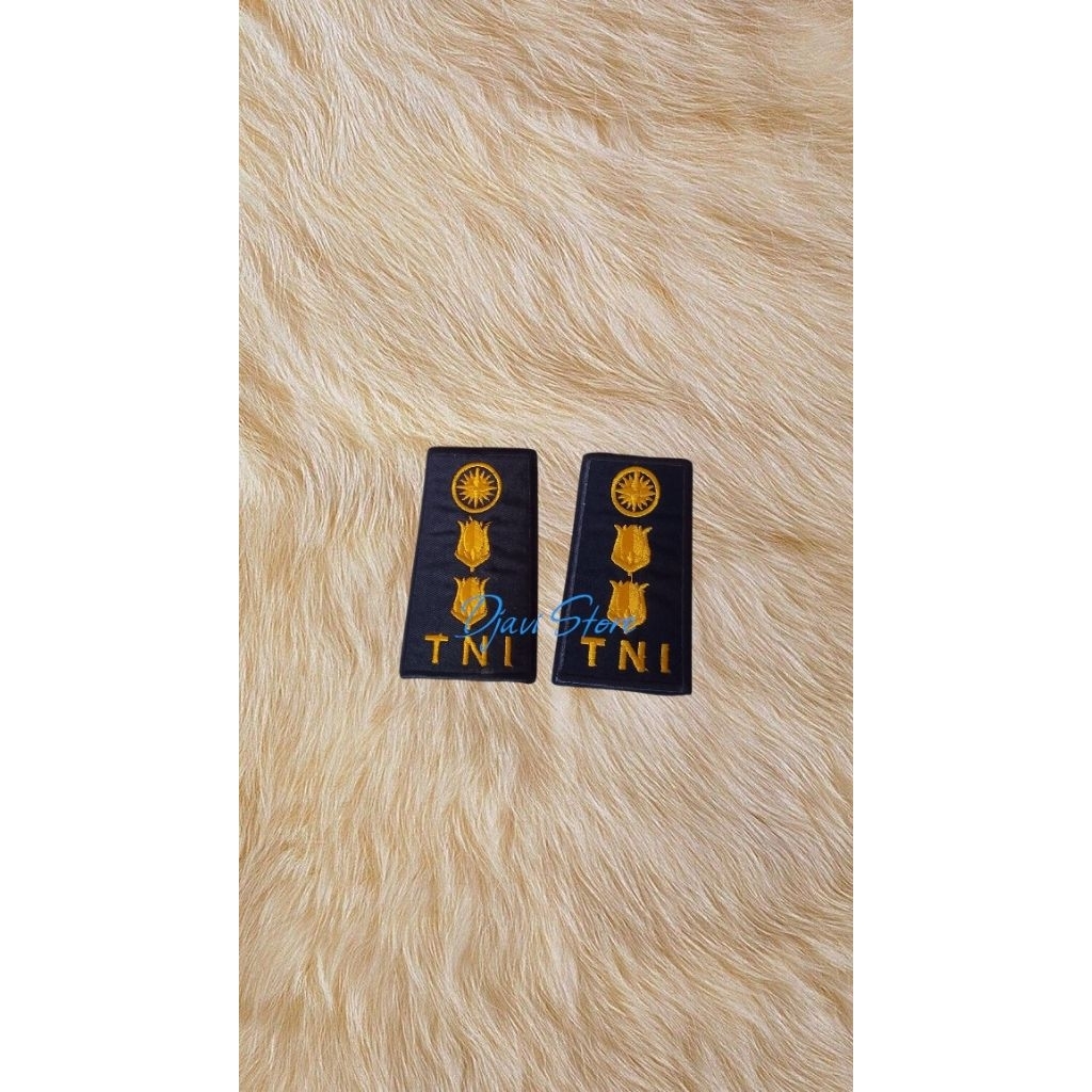 Jual PANGKAT PDH TNI AU LETKOL | Shopee Indonesia