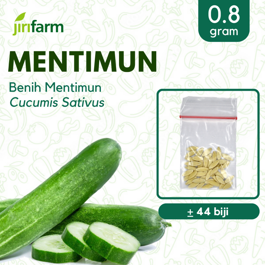 Jual JIRIFARM - Benih Bibit Timun Tanaman Sayuran Buah Seribuan Lalap ...