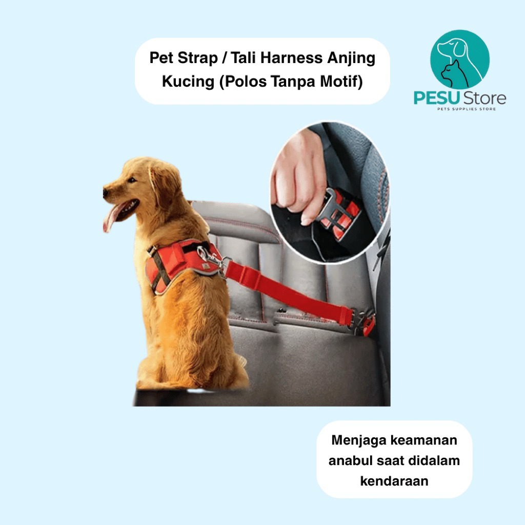 Jual Tali Harness Anjing Kucing Polos – Pet Strap Adjustable Nyaman ...