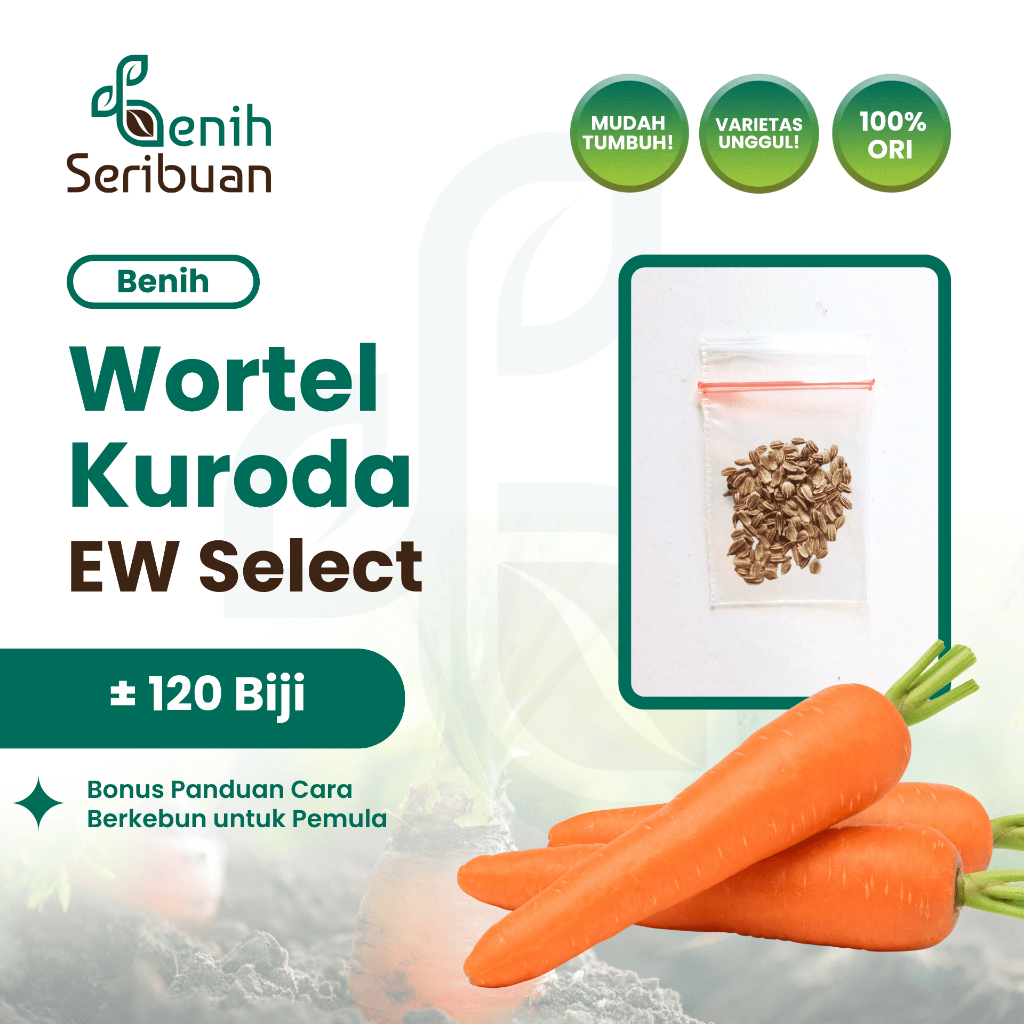 Jual 120 Benih Bibit Wortel Kuroda EW Select Super Cap Panah Merah ...