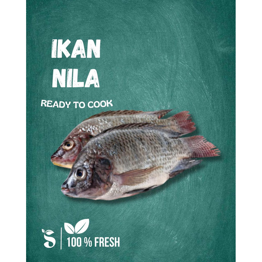 Jual Ikan Nila Segar Ikan Nila Fresh 1 kg | Shopee Indonesia