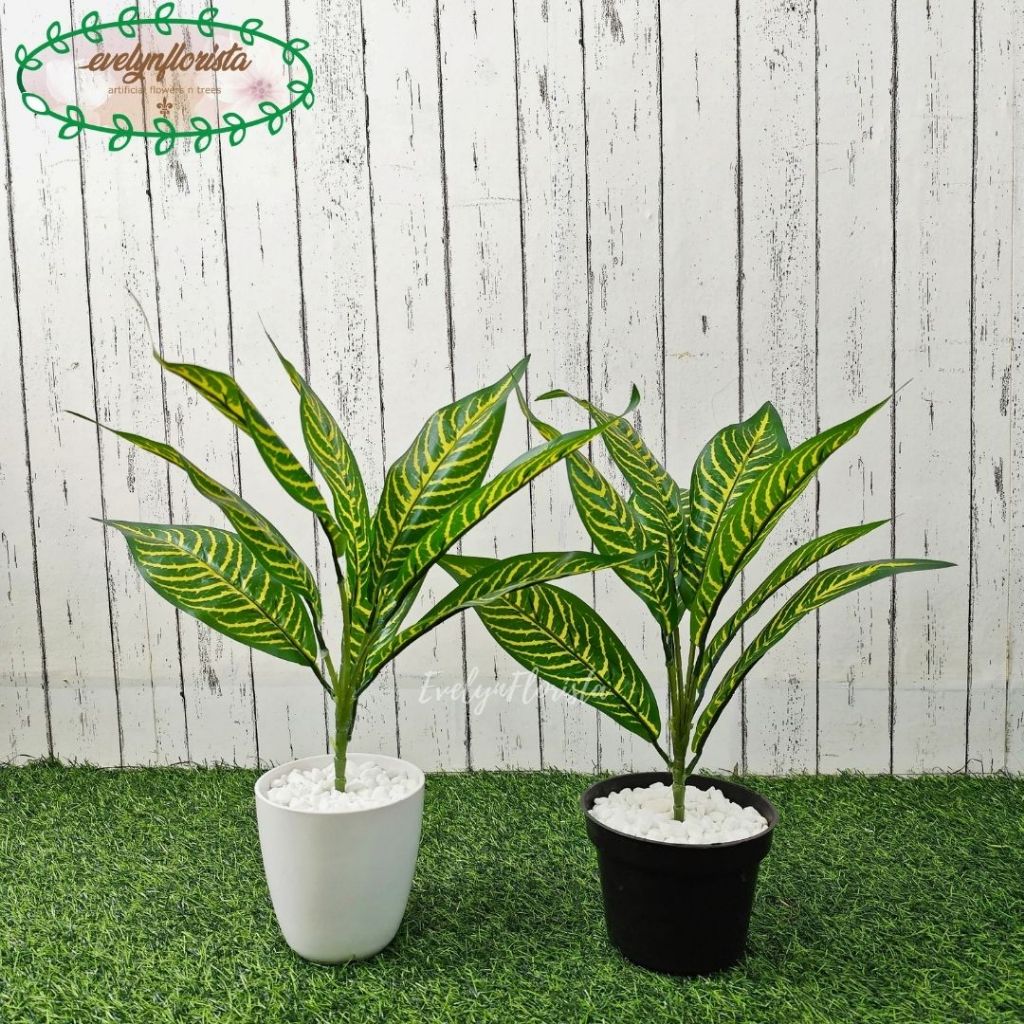 Jual Pohon Artificial Daun Imitasi Aglonema Zebra List Kuning X9 Pot ...